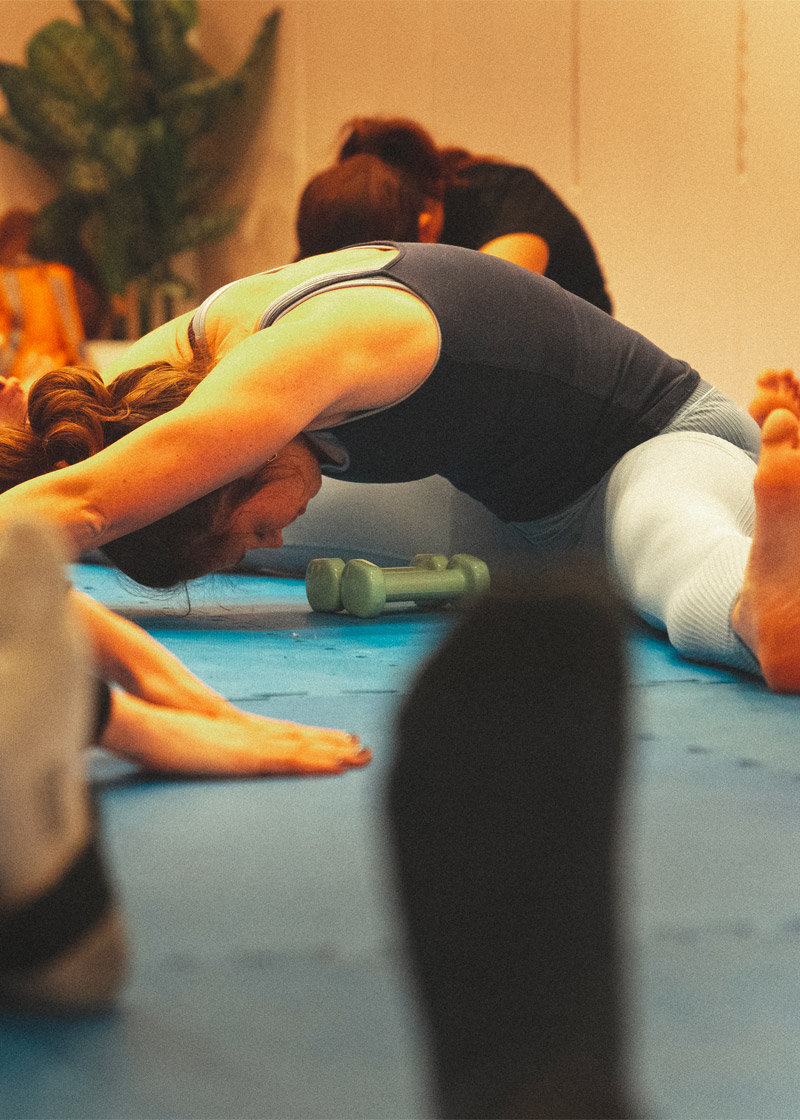 Stretch & Renforcement